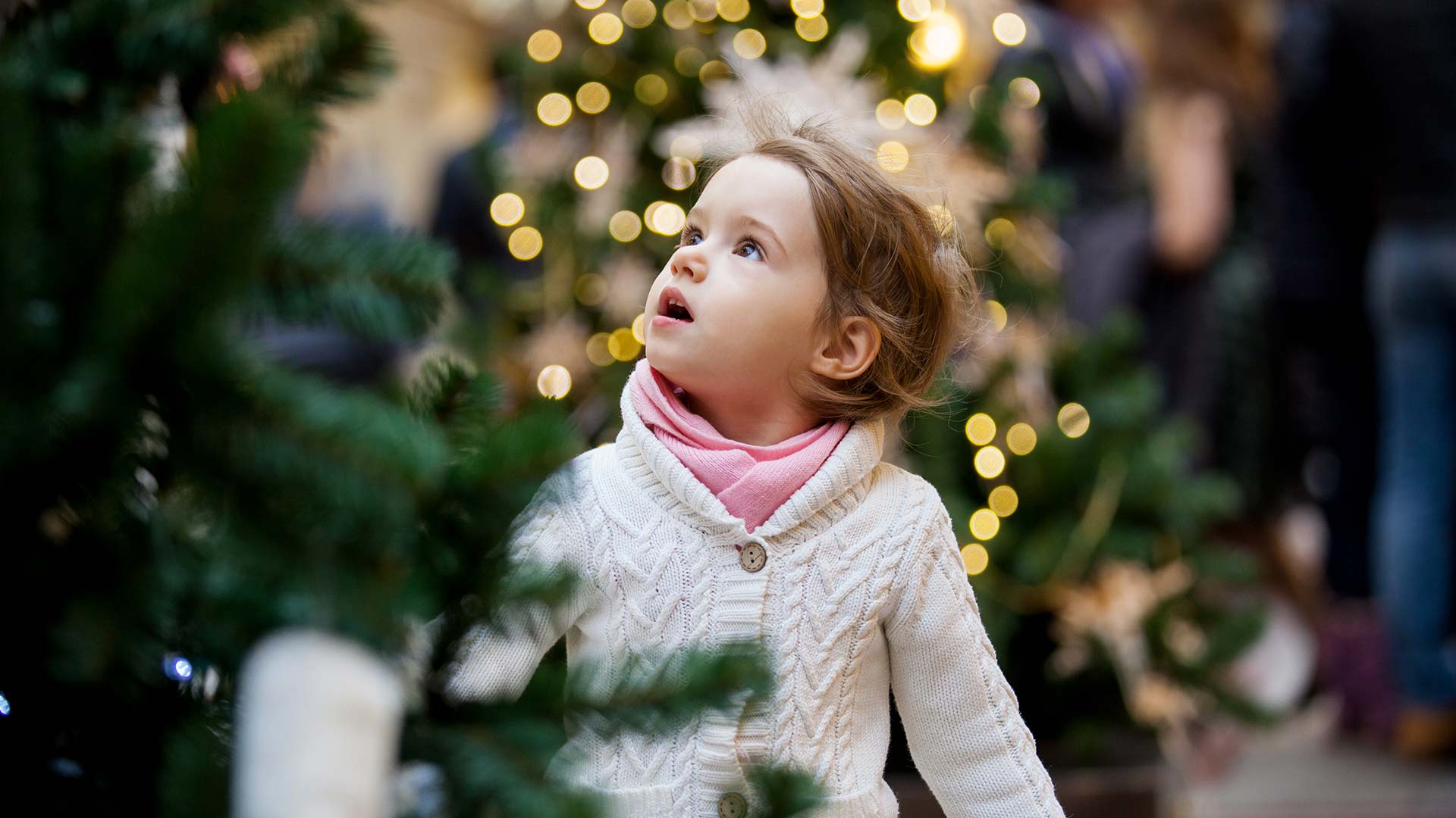 Christmas Club Account | Open a Savings Account | First Exchange